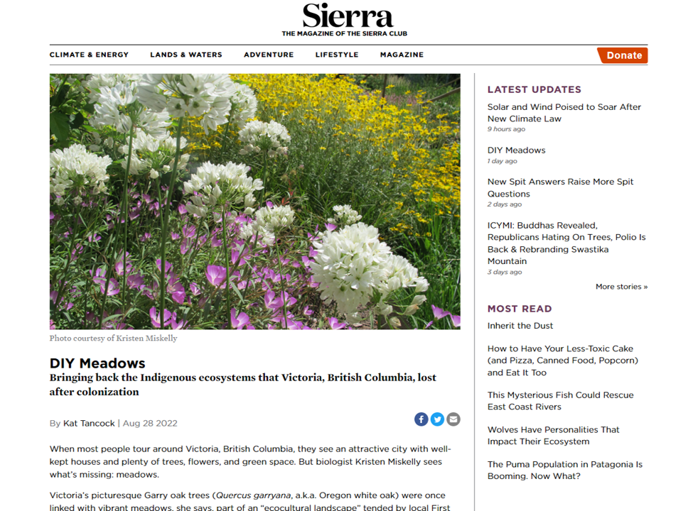 MeadowMakers News Feature: DIY Meadows Bringing back the Indigenous ec ...