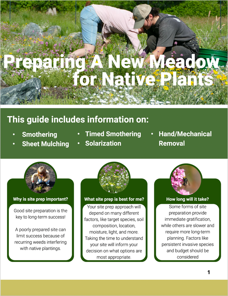 Preparing a New Meadow For Native Plants – Satinflower Nurseries